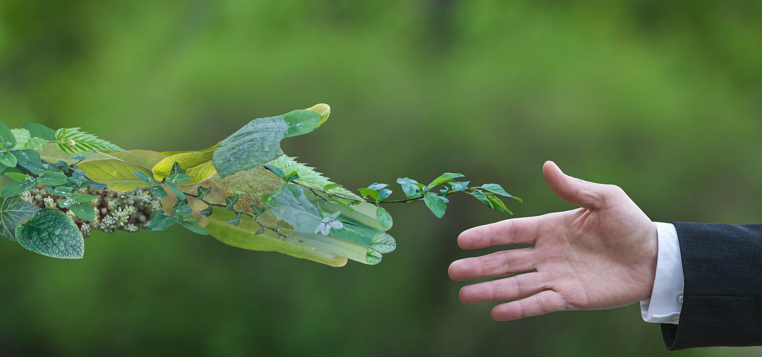 ILLIG - Thermoforming & Packaging Technology